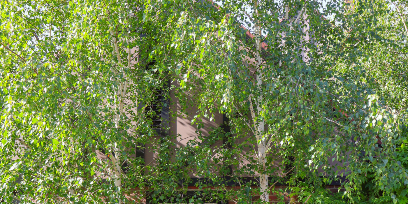 How to Design a Formal Garden With Ornamental Trees