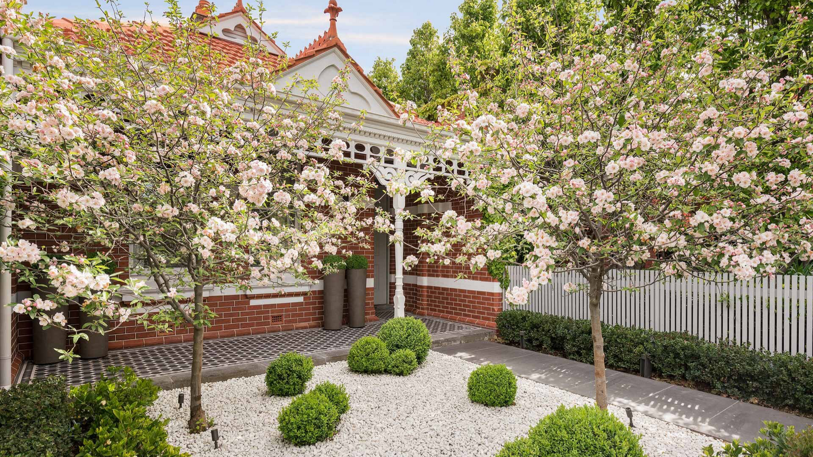 The Best Feature Trees for Small Areas - Evergreen Trees Direct ...