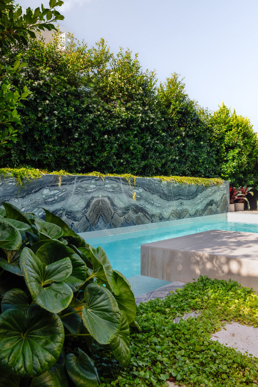 Low Maintenance Trees for Landscaping | Easy-Care Trees for Your Garden ...