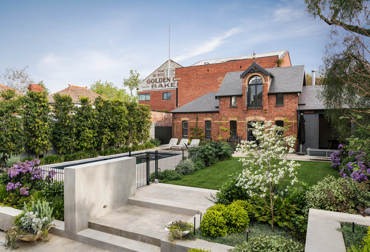 Hedging & Screening Trees | Advanced Trees for Privacy & Structure