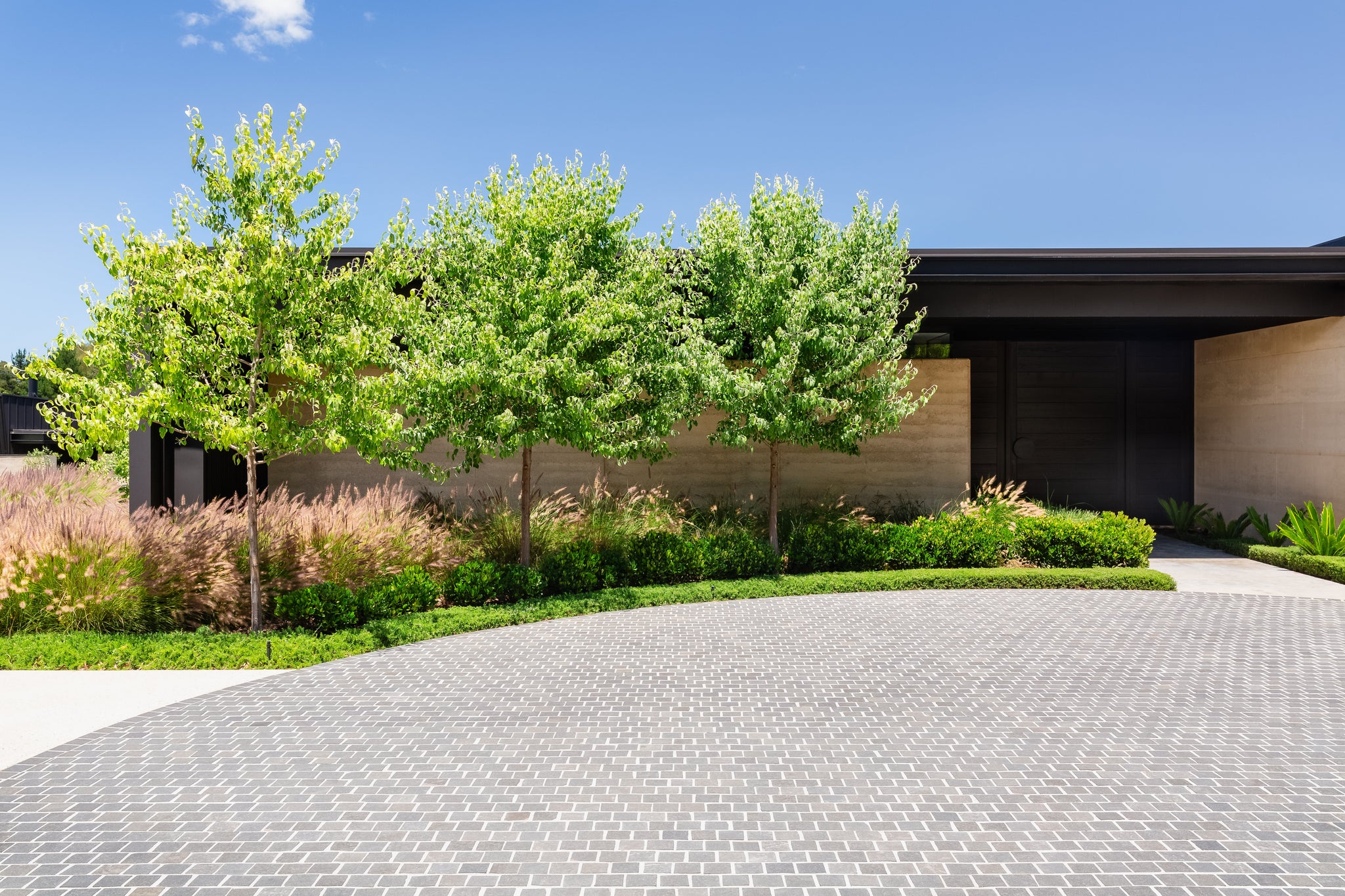 Rounded & Spreading Canopy Trees