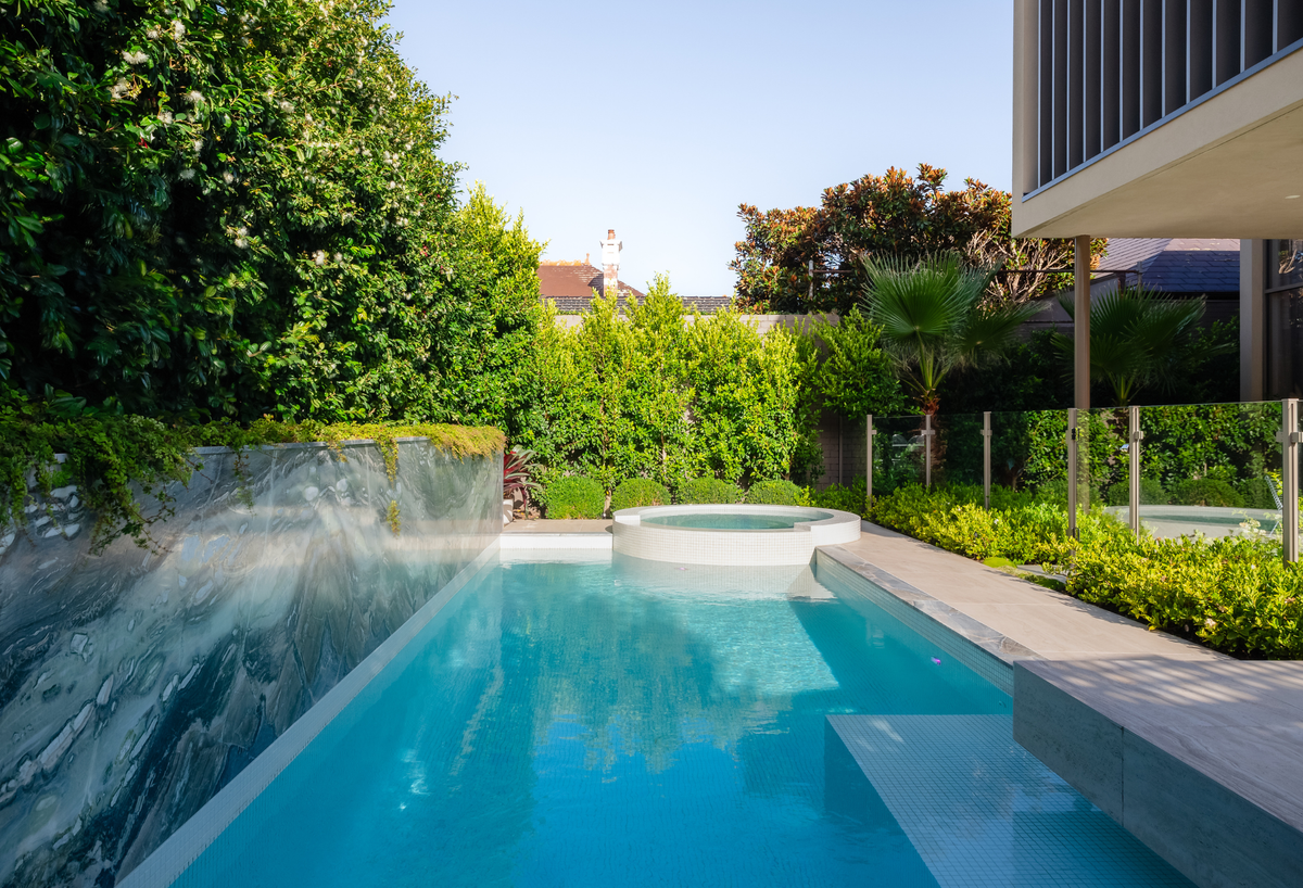 Trees That Thrive in Full Sun | Evergreen Trees Direct