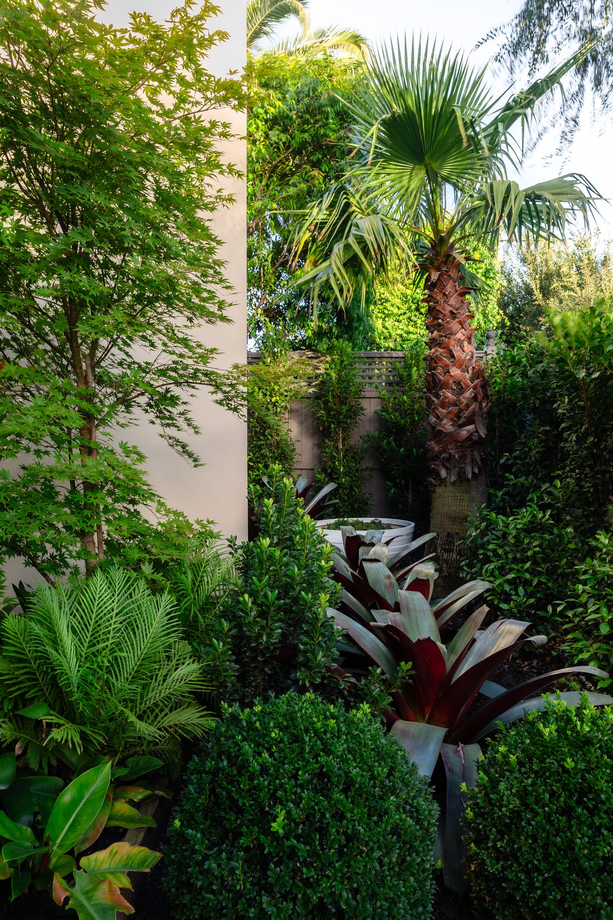 The Ultimate Guide to Planting Trees for a Vibrant Australian Autumn ...