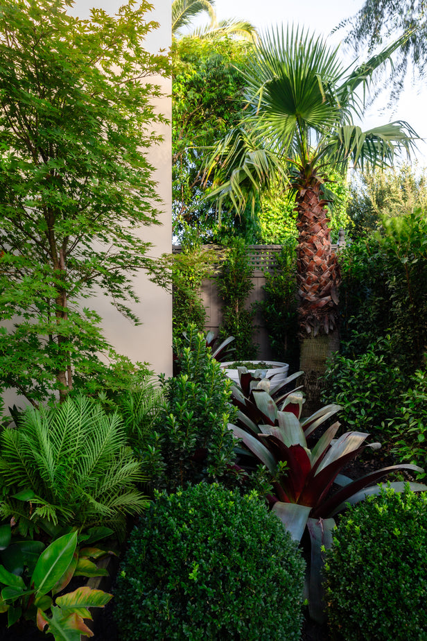 Understanding Tree Growth Rates: Fast vs. Slow-Growing Trees