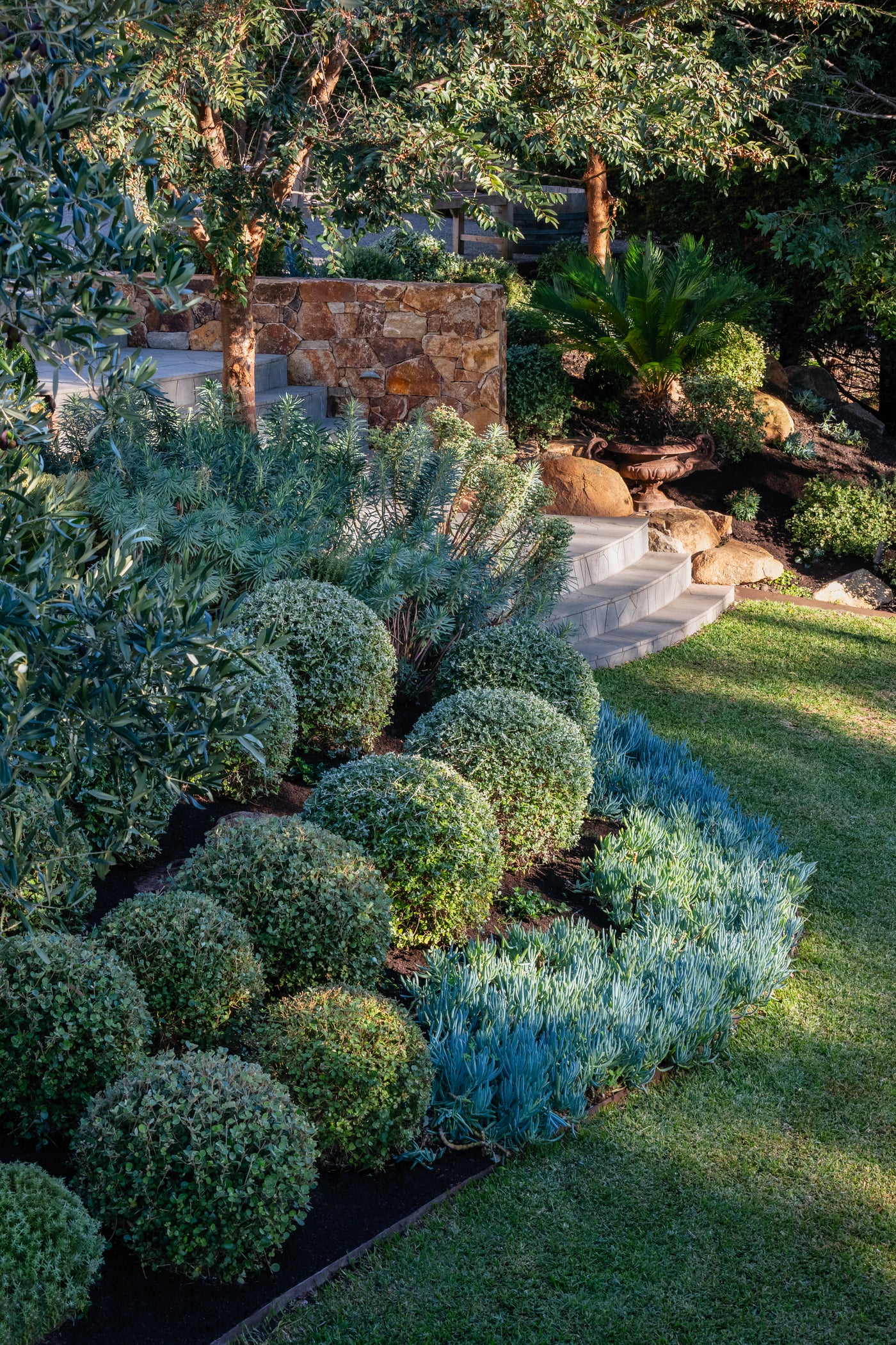 Sizing Chart | Evergreen Trees Direct