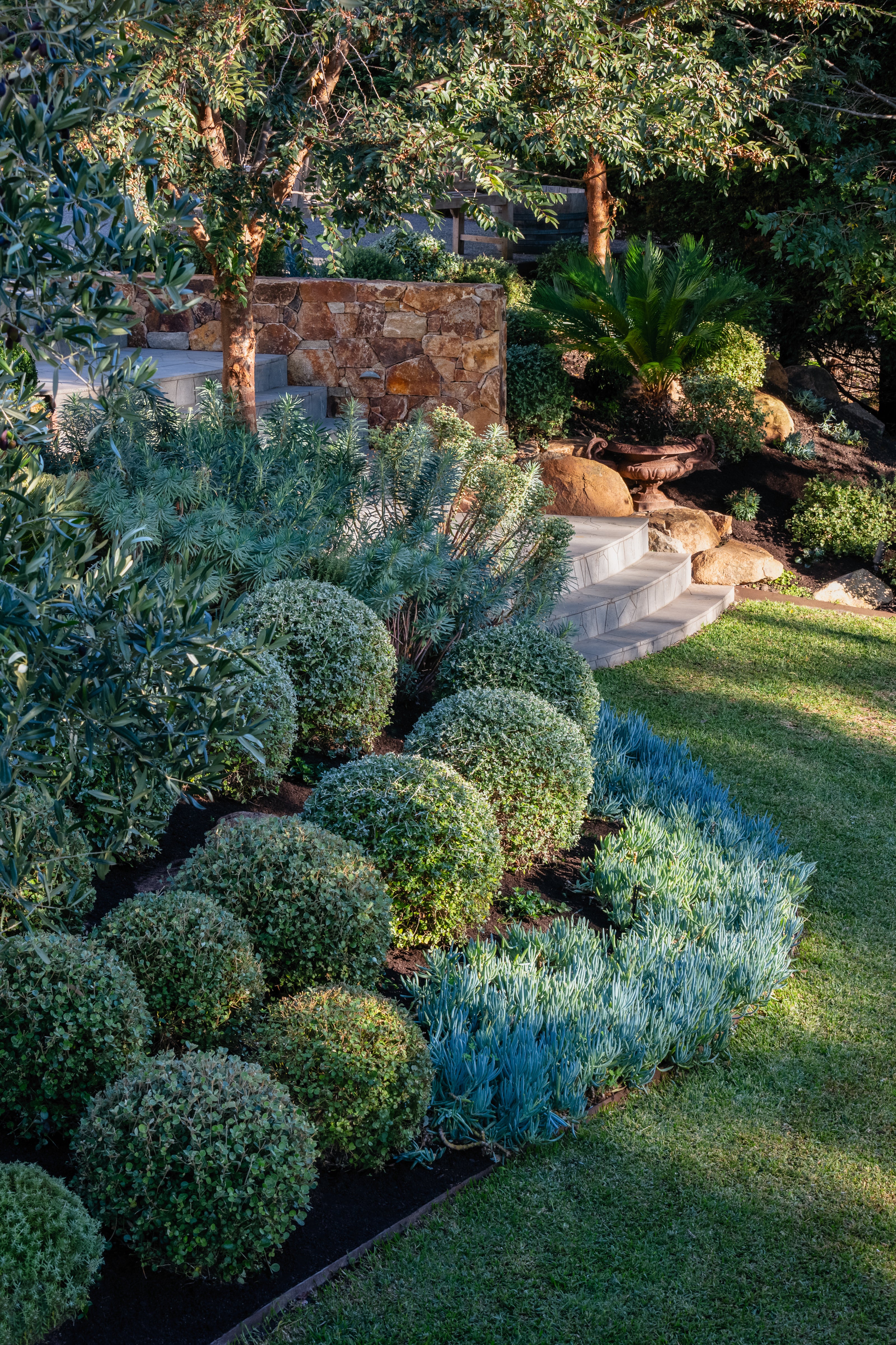 Sizing Chart | Evergreen Trees Direct