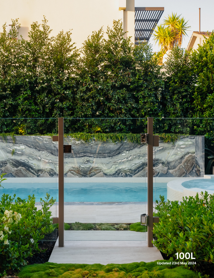 Top 5 Evergreen Trees with Non-Invasive Roots | Evergreen Trees Direct