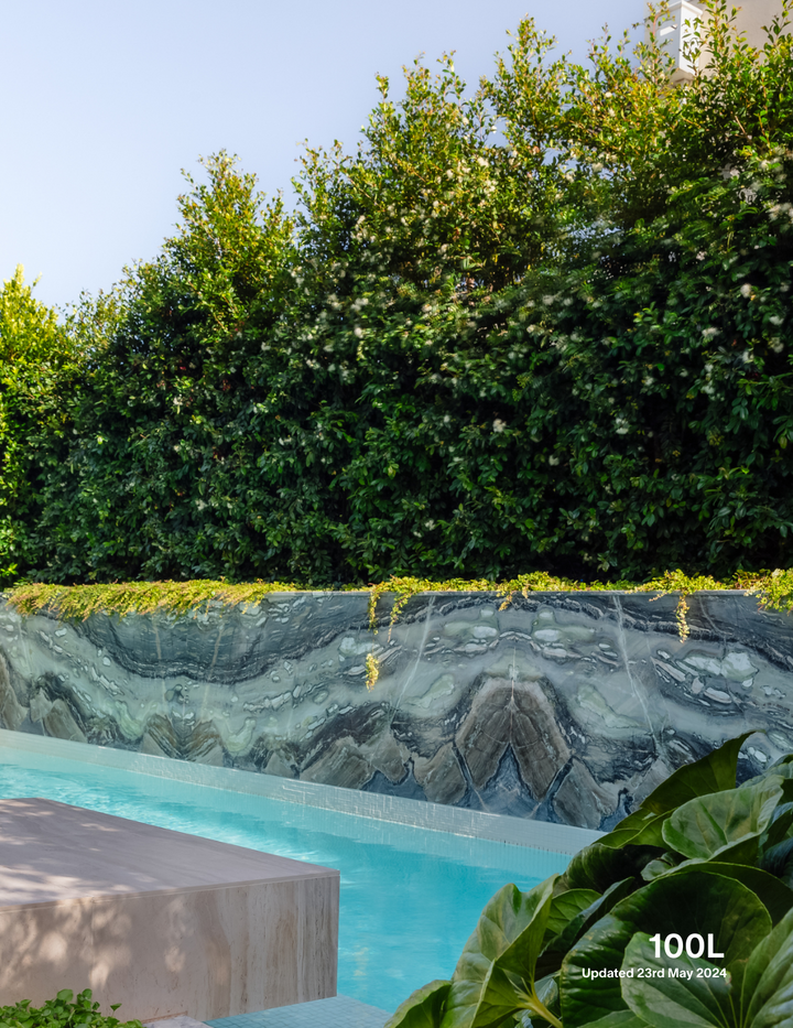 The Waterhousea Floribunda (Lilly Pilly) - The Perfect Hedging Tree fo