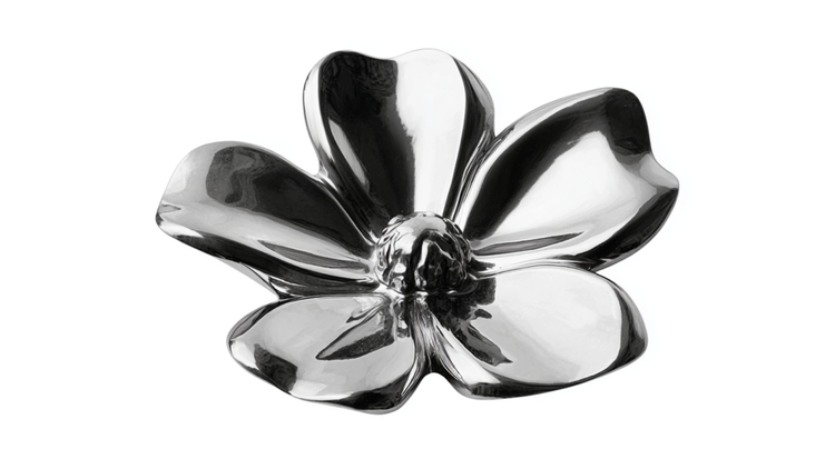 Acmena smithii 'Sublime' - Lilly Pilly | Evergreen Trees Direct