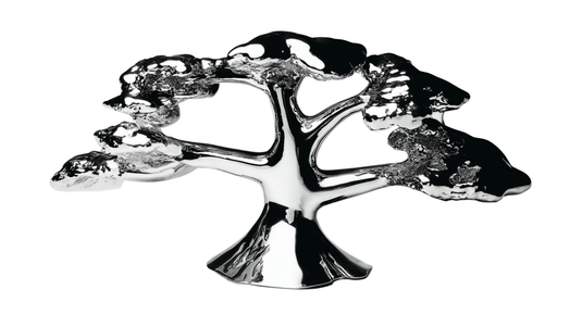 Acacia implexa – Lightwood, Hickory Wattle | Evergreen Trees Direct