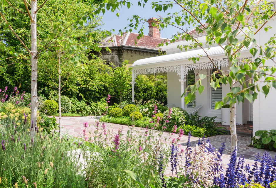 Australian Native | Evergreen Trees Direct