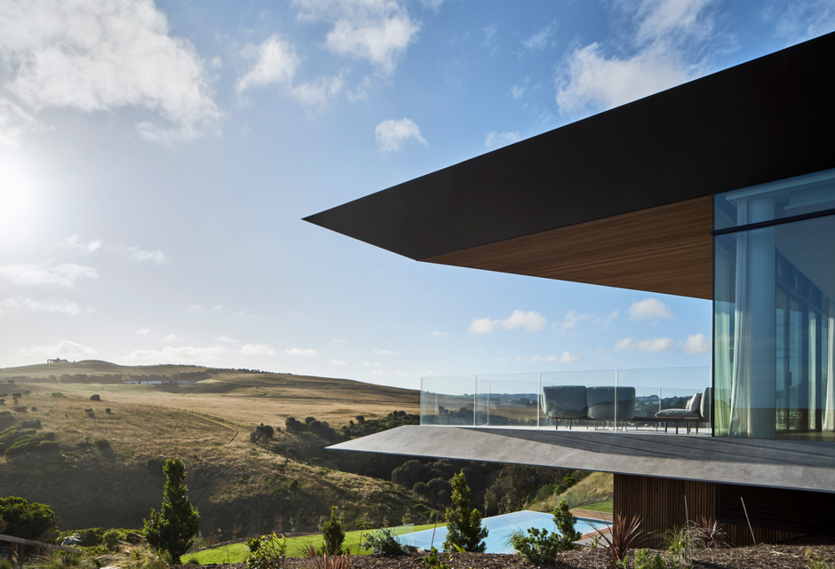 Banksia integrifolia 'Sentinel' - Evergreen Trees Direct