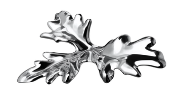 Acacia implexa – Lightwood, Hickory Wattle | Evergreen Trees Direct