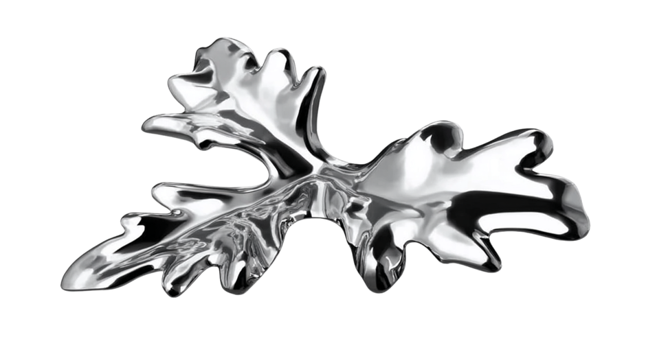 Chinese Tallow Tree (Sapium sebiferum / Triadica sebifera) | Evergreen ...