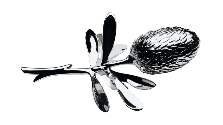 Punica granatum 'Wonderful' Pomegranate Tree | Evergreen Trees Direct